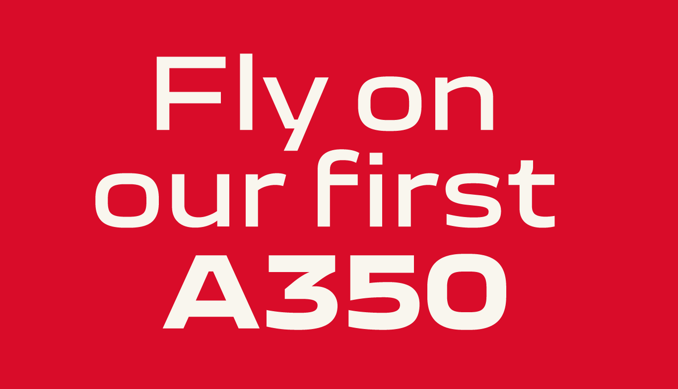 AirIndia: a custom font honoring local culture for a global airline ...